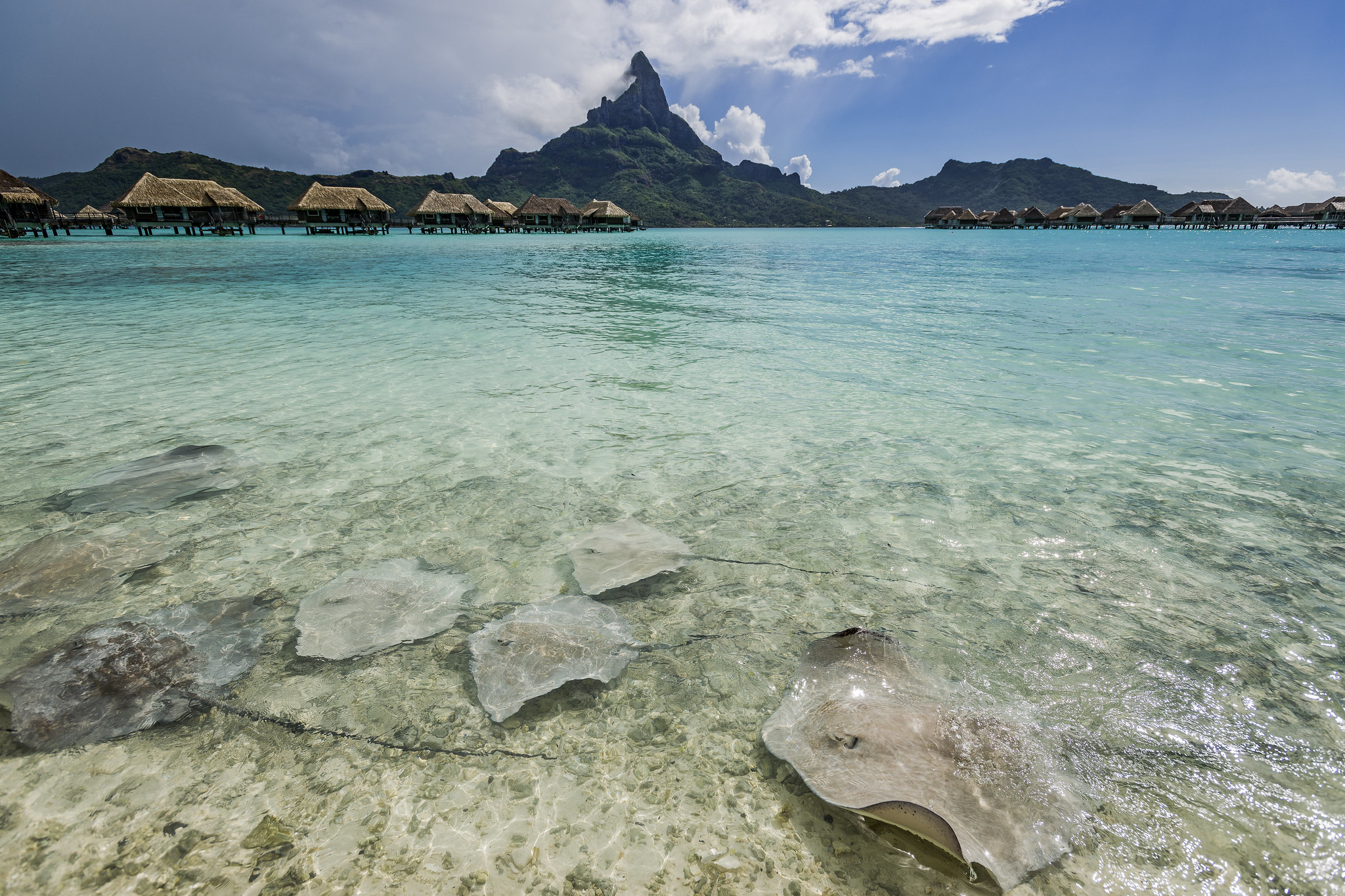 Intercontinental Resort & Thalasso Spa, Bora Bora - Alidays